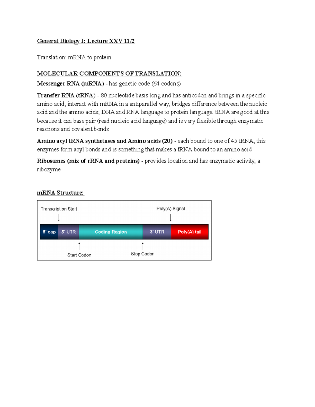 Lecture 11 2 - General Biology I - General Biology I: Lecture XXV 11 ...