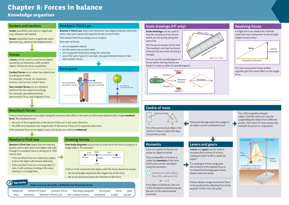 Forces in balance - Scalar quantities only have a magnitude (e ...