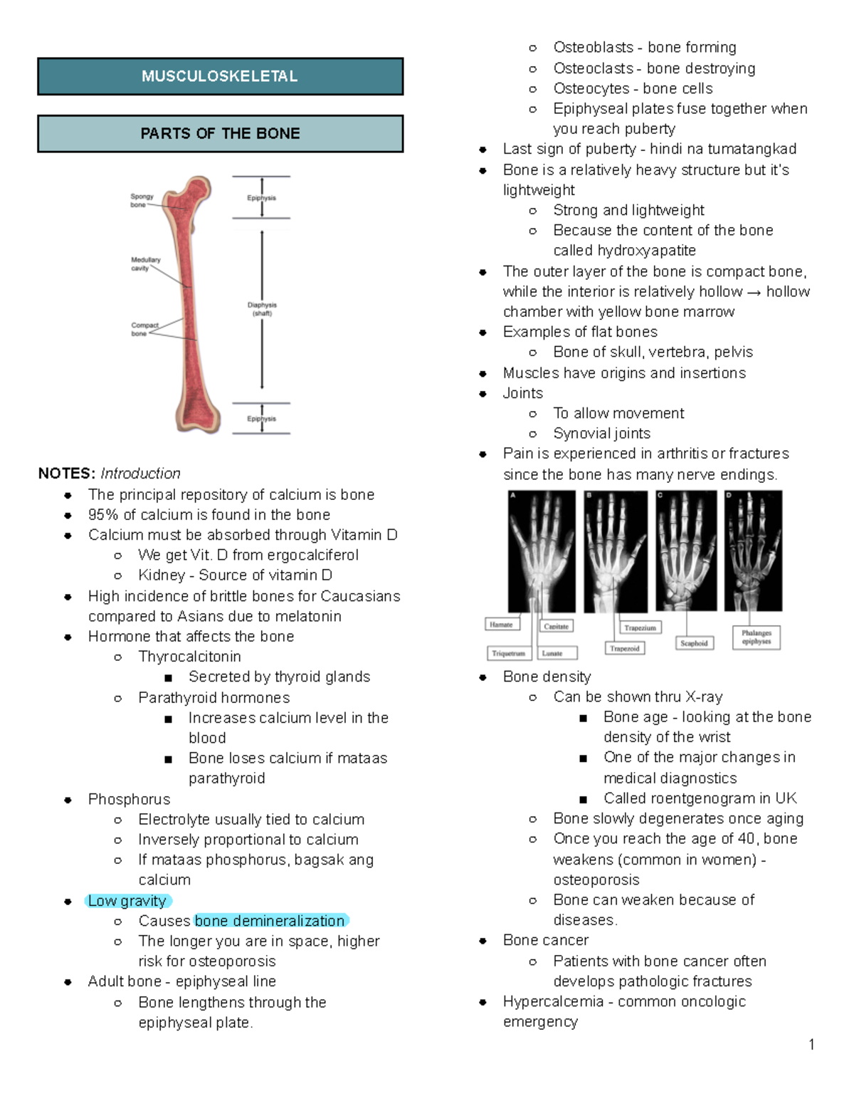 MS 2 Enrichment - notes - MUSCULOSKELETAL PARTS OF THE BONE NOTES ...