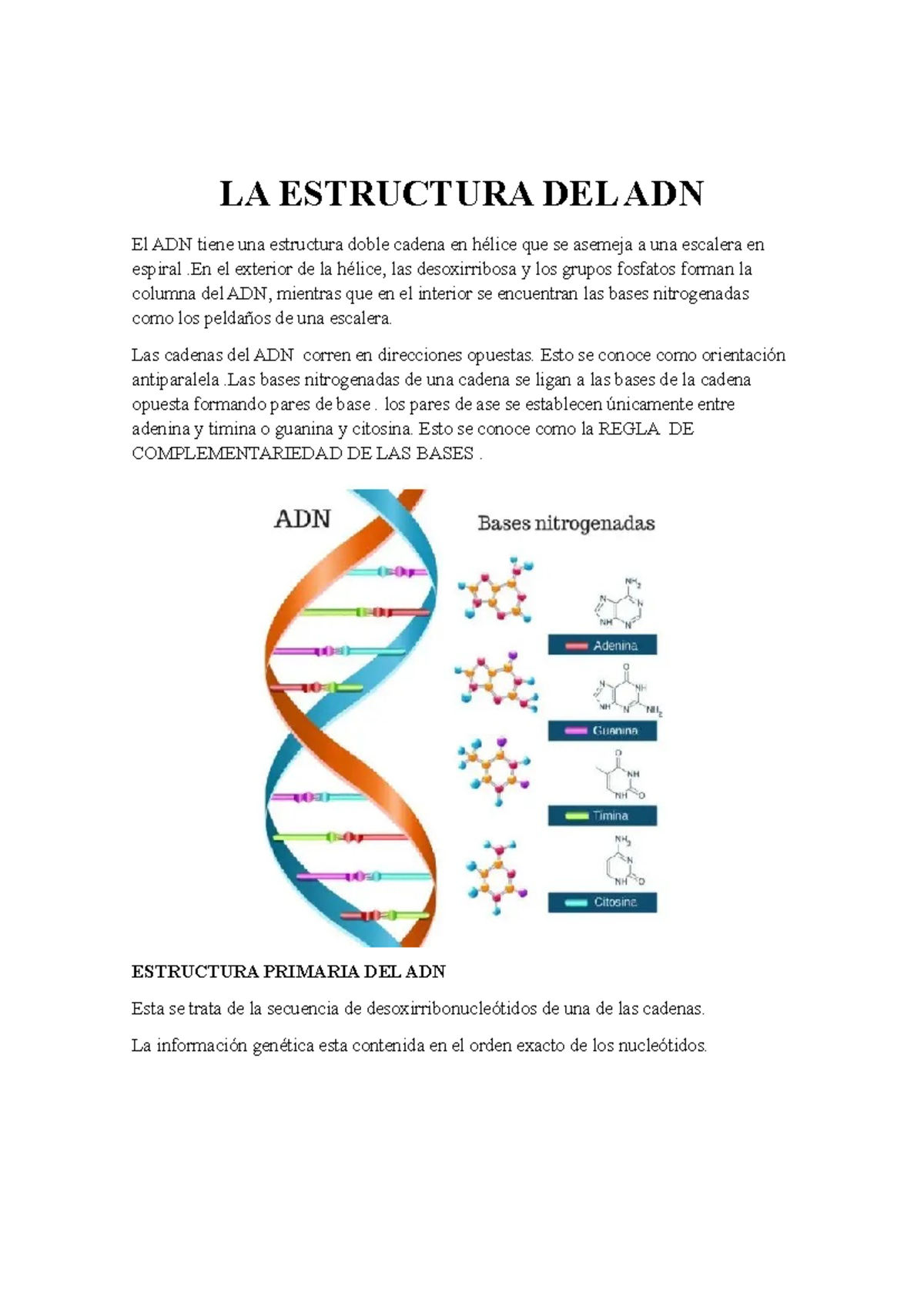 Informe de biologia - ESTRUCTURA DE ADN - LA ESTRUCTURA DEL ADN El ADN ...