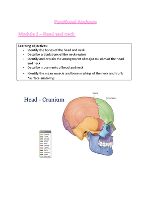 Review Test Submission Worksheet 2 - Lower Limb – - NATS1022 (Spring ...