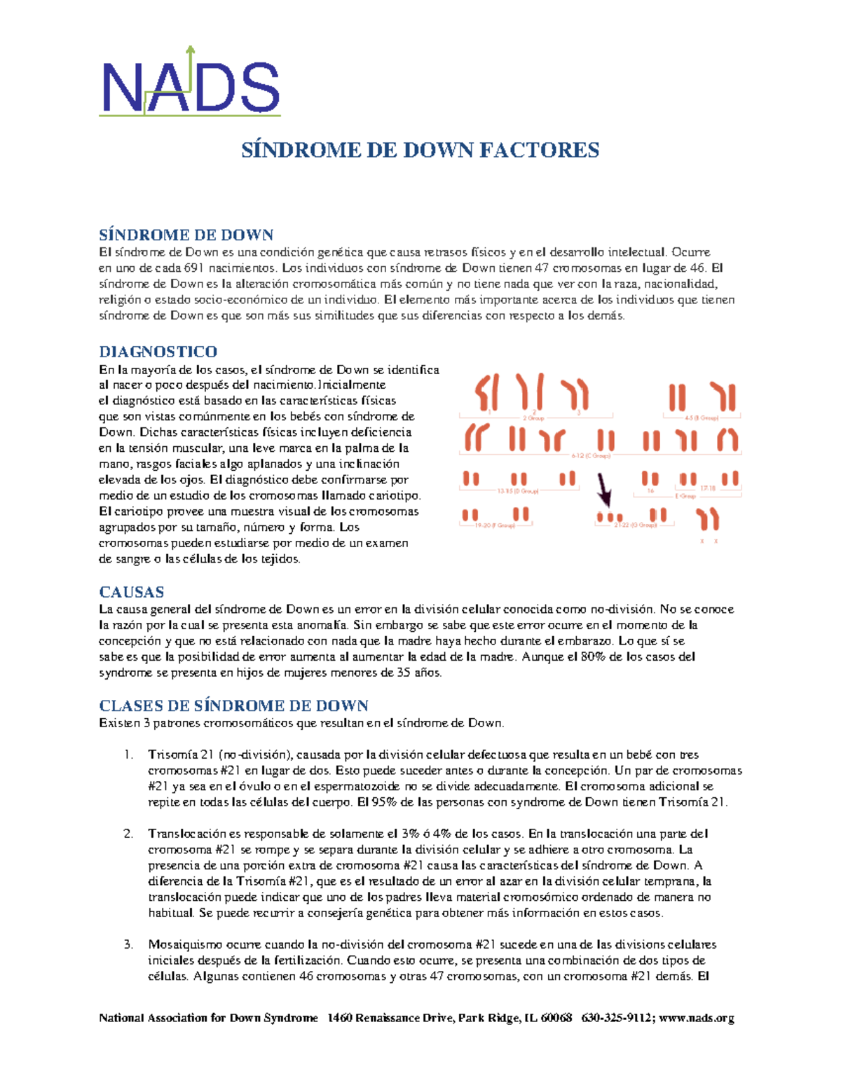 Sindrome De Down Factores - NADS National Association for Down Syndrome ...