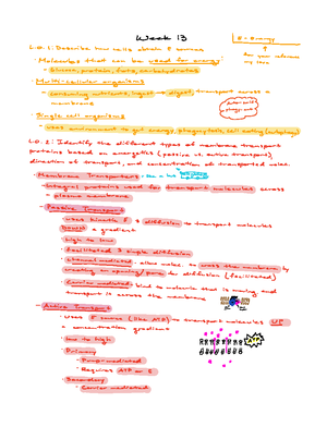 CHAP 14 CELL Cycle MIND MAP - BIOL 230W - Studocu