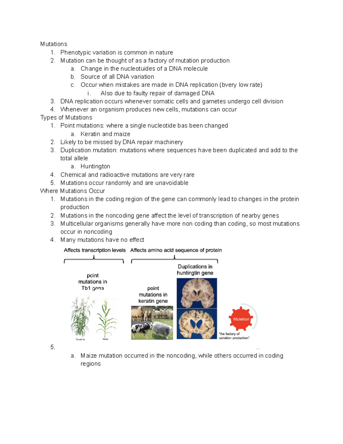 U2L4 - Lecture notes 11 - Mutations 1. Phenotypic variation is common ...