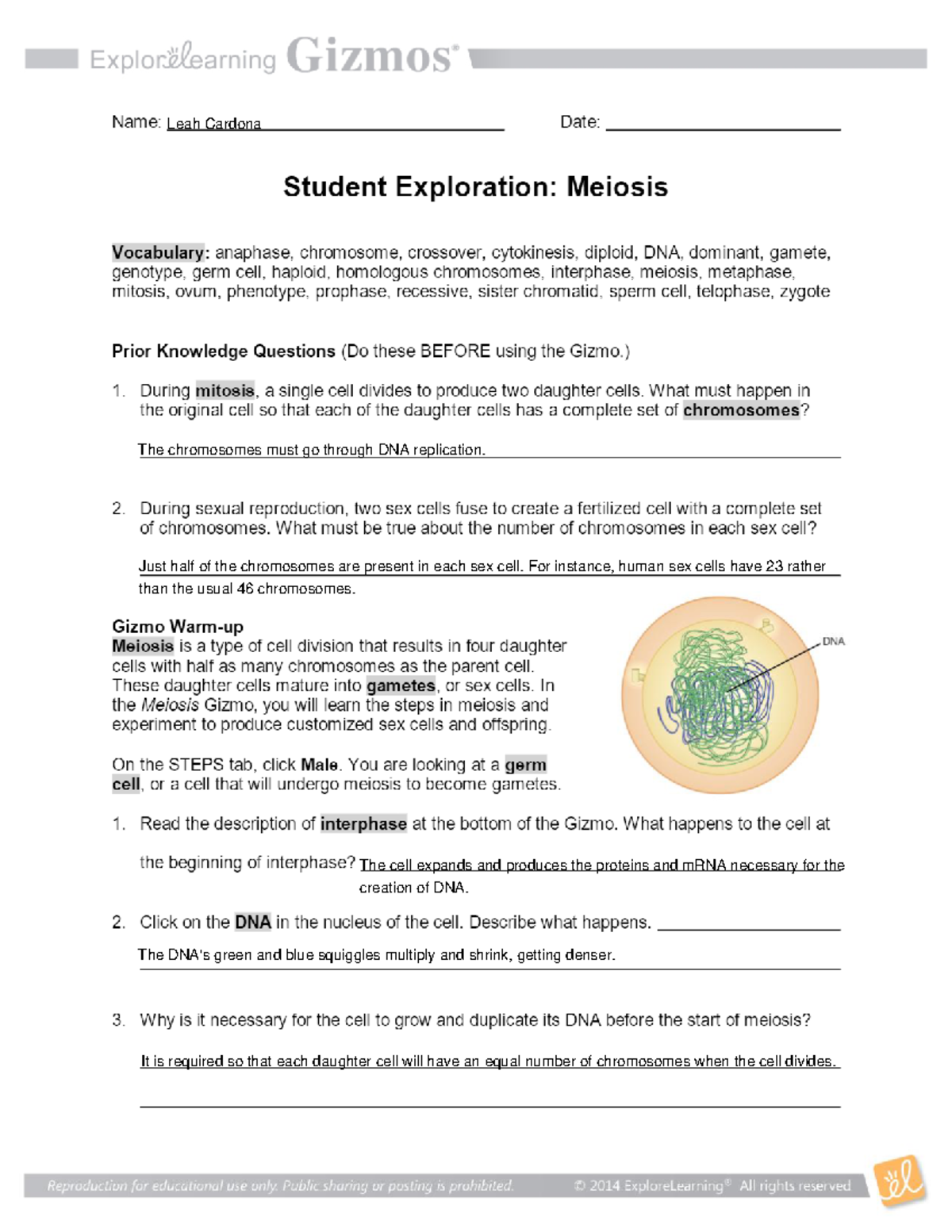 Meiosis - Orbit Note - IDK :) - Name: Date: Student Exploration ...