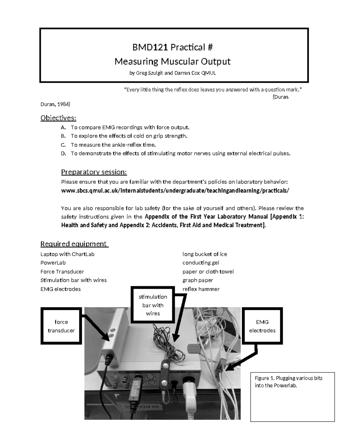 BMD121 Practical Muscles Szulgit Lab - BMD121 Practical Measuring ...