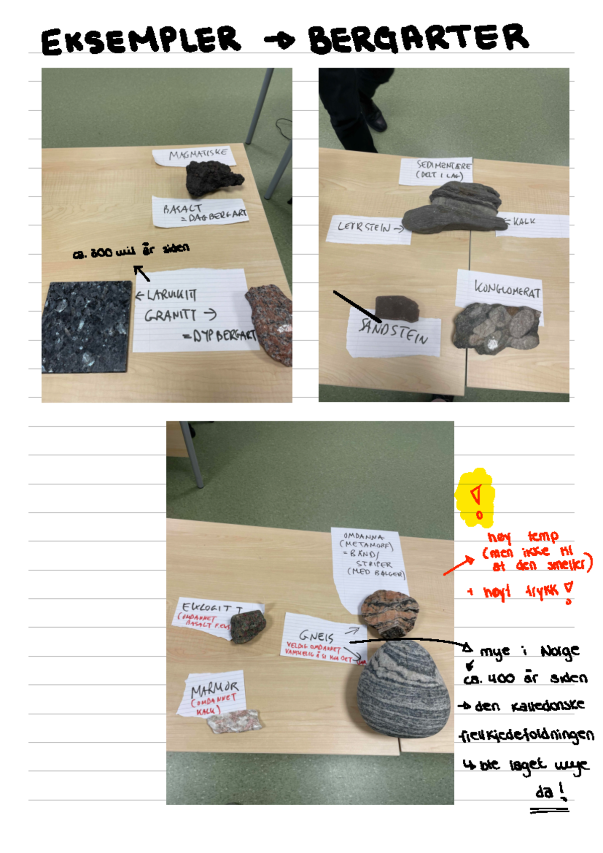 Bergarter - Oppsummering - MAGMATISKE SEDIMENTERE (DELT (LAG) RASACT ...