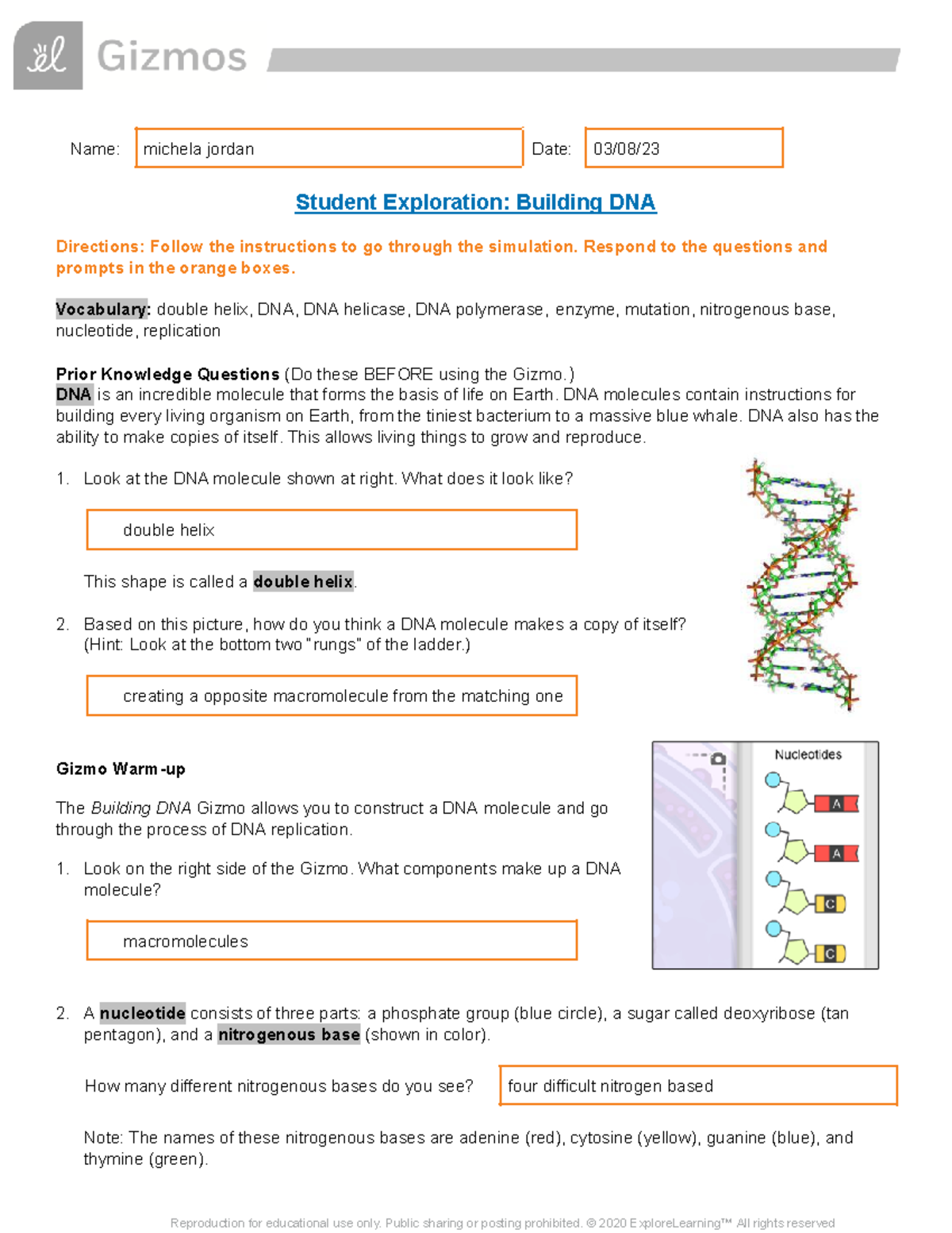 Copy of Gizmos-Building Dnase - Name: michela jordan Date: 03/08 ...