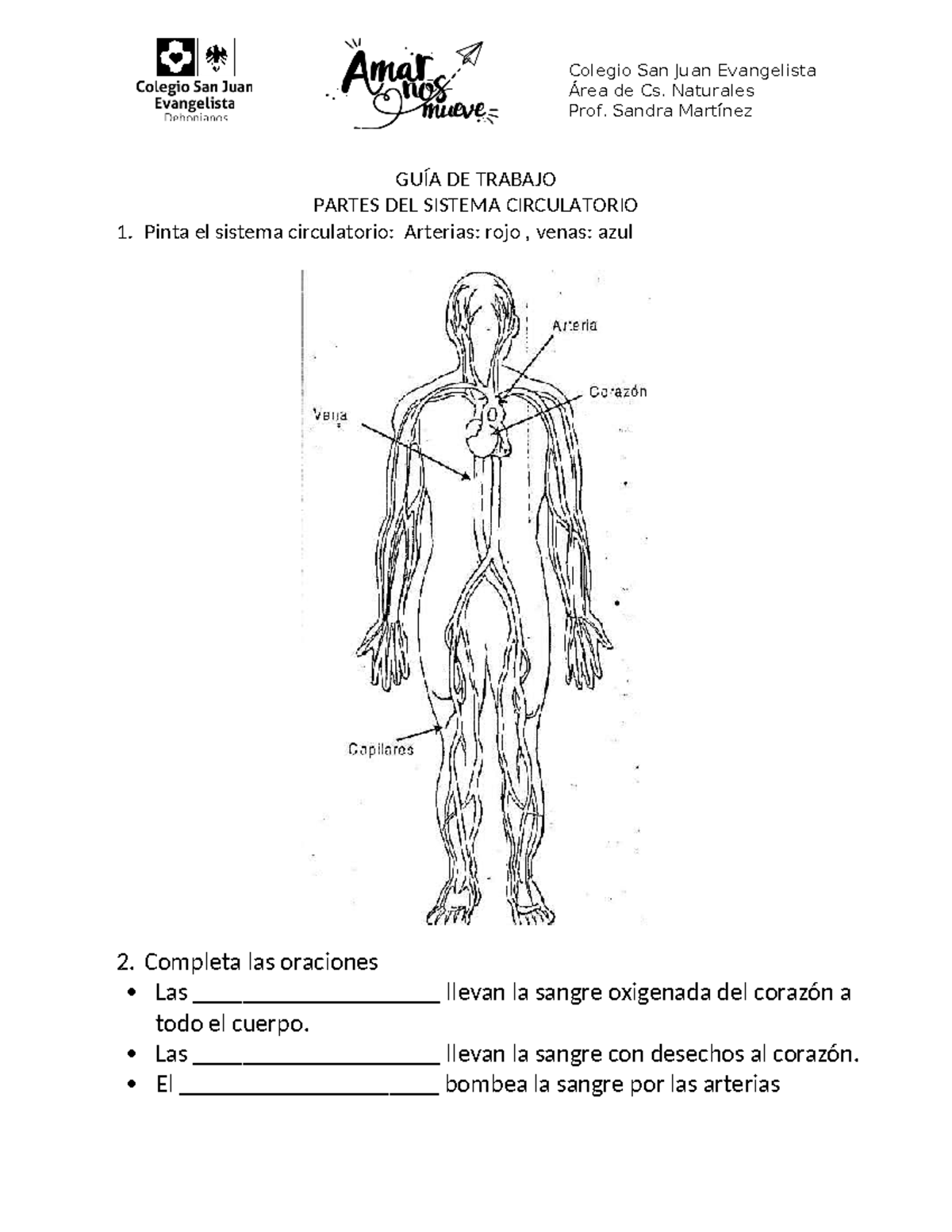 Sistema circulatorio - guias de trabajo - Área de Cs. Naturales Prof ...