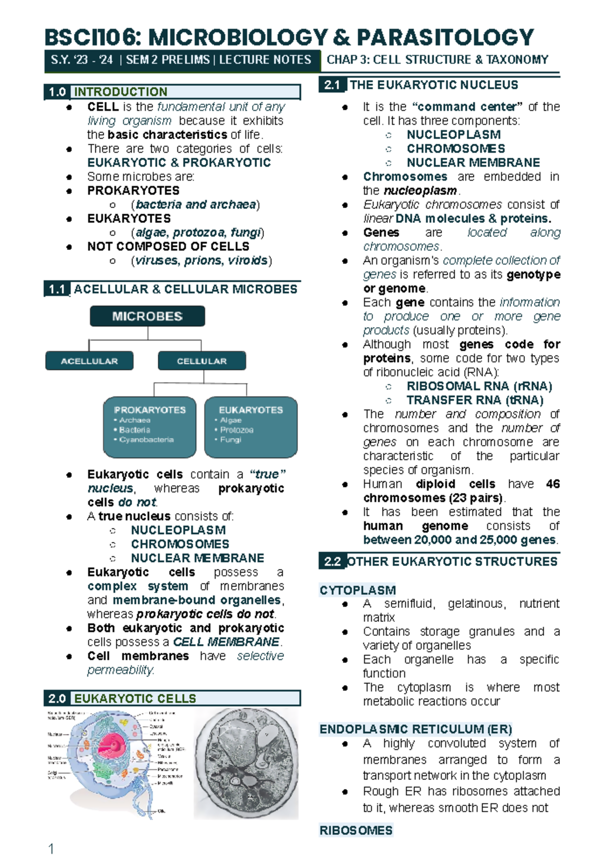 Micropara lec (chap 3) - BSCI106: MICROBIOLOGY & PARASITOLOGY S. ‘23 ...