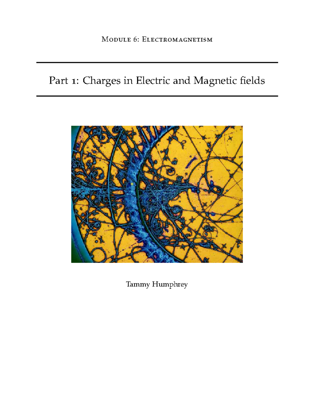 M6L1 Charges in Electric and Magnetic fields - Module 6 ...