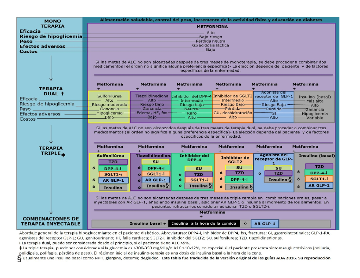 Algoritmo 2016 ADA y EASD tto. DM 2 - Endocrinología - Studocu