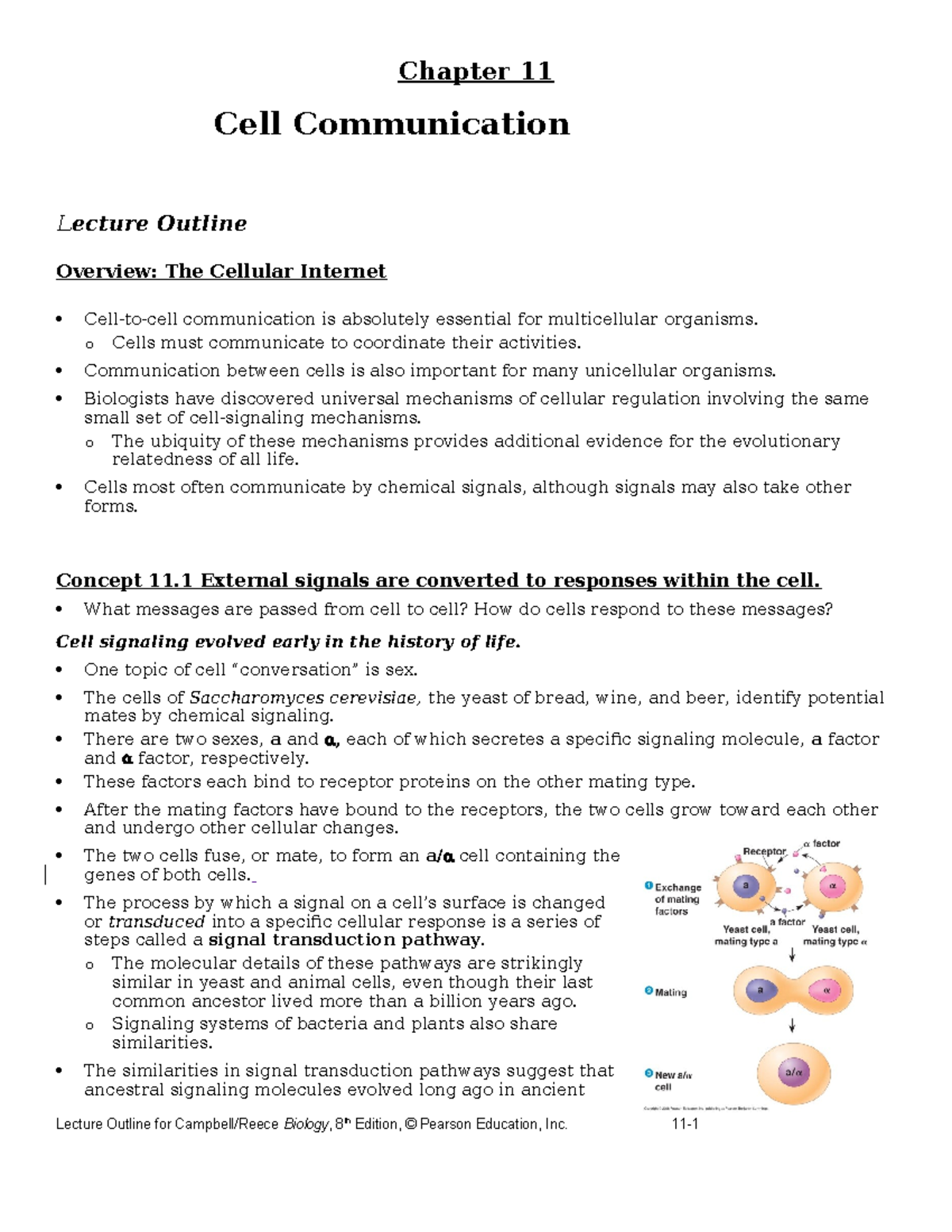 Chapter 11 Bio AP Notes - nobe - Chapter 11 Cell Communication Lecture ...
