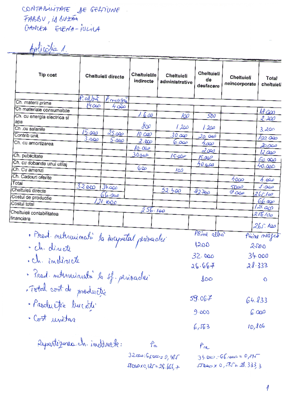 Aplicatii Contabilitate de gestiune, Oancea Elena-Iulica, ID Buzau ...
