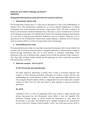 Special stains report - Special Stains Report B 1. Perls’ Prussian blue ...