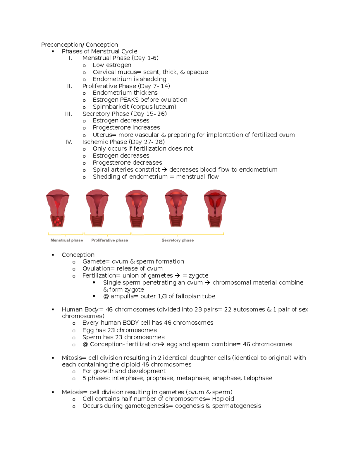 Preconception PP Notes - Preconception/ Conception Phases of Menstrual ...