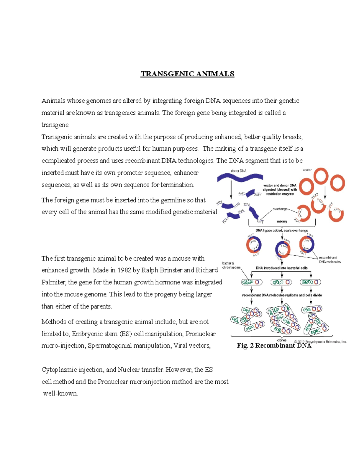 BIO project on Transgenic Animals - TRANSGENIC ANIMALS Animals whose ...