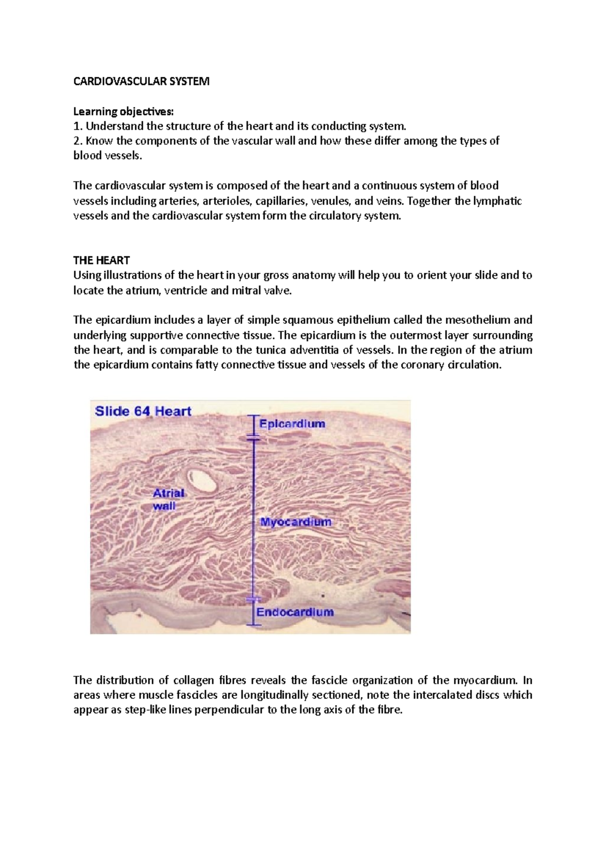 Cardiovascular practical handout - CARDIOVASCULAR SYSTEM Learning ...