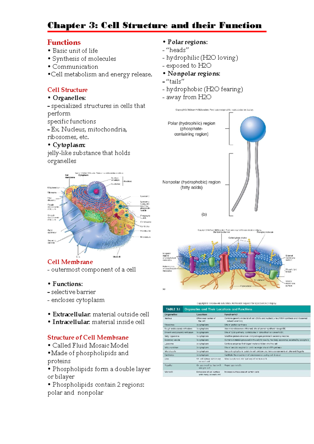 Chapter 3 - Reviewer - Chapter 3: Cell Structure and their Function ...
