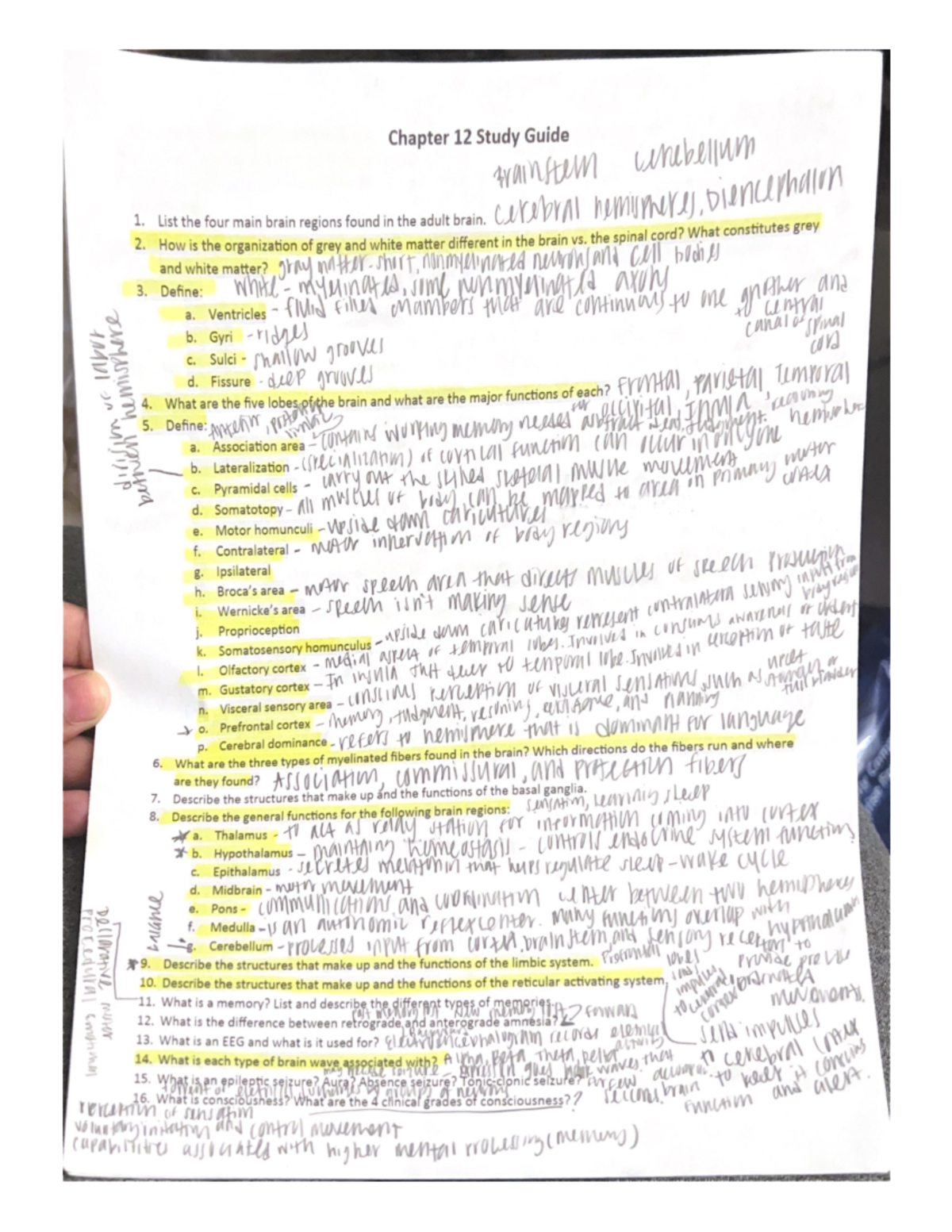 Chapter 12 Study Guide - BIO-210 - Studocu