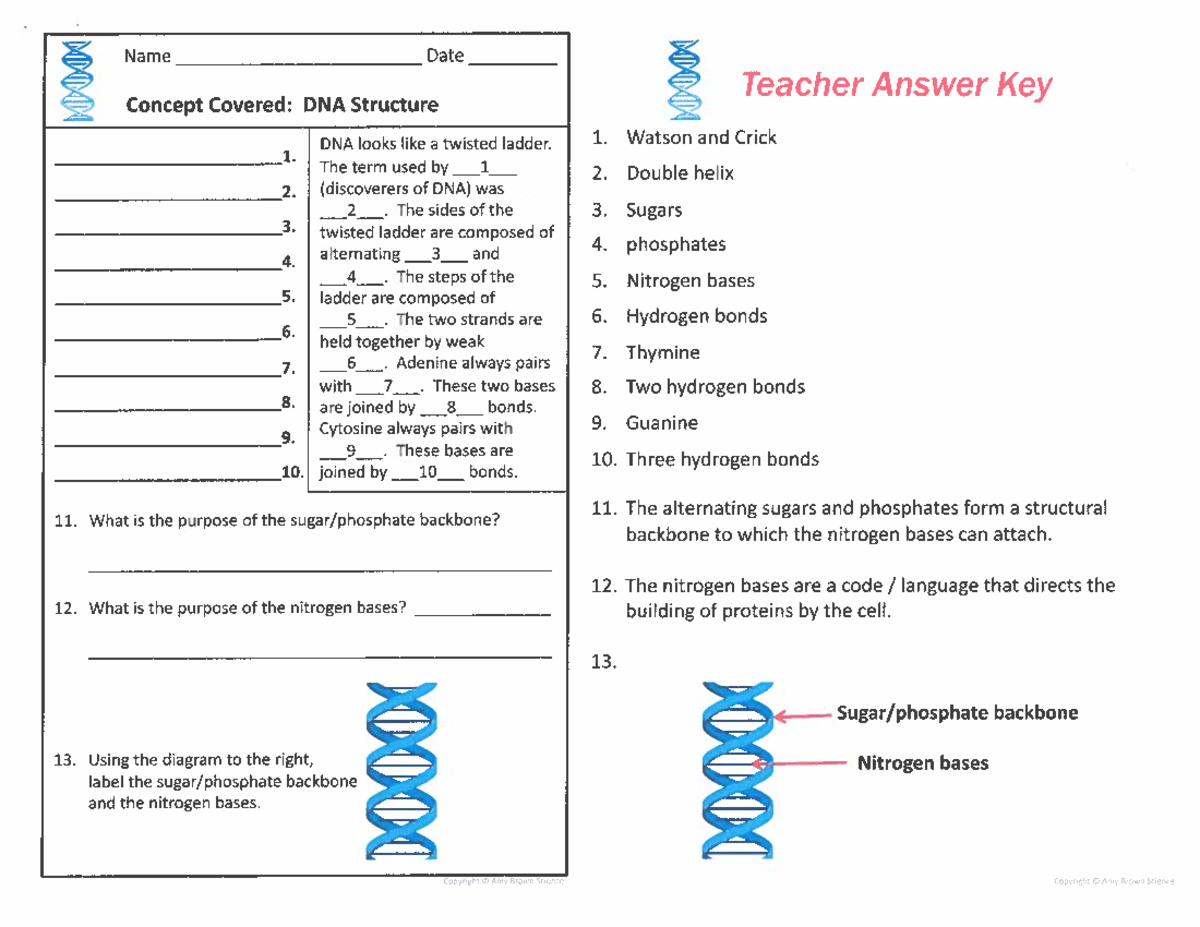 Chapter 5 Review Worksheet Answers - BIO101 - Studocu