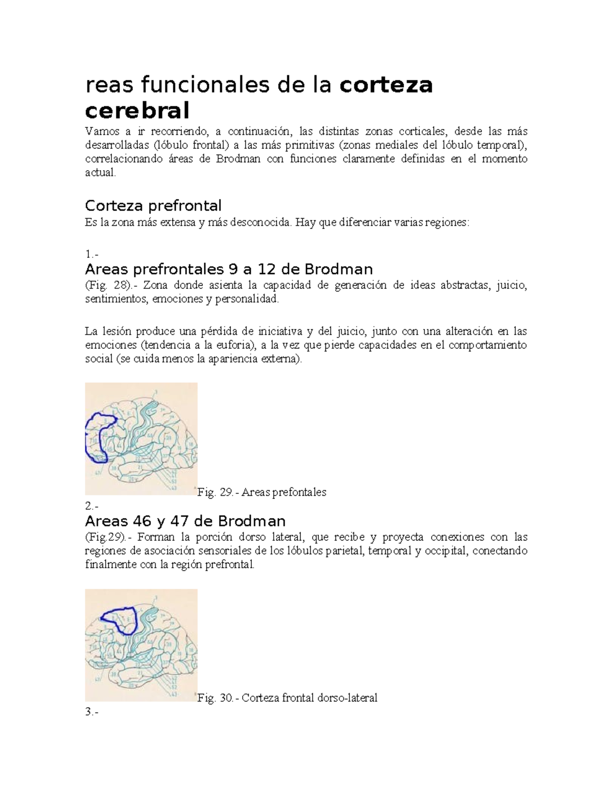 Areas cerbrales - Discapacidad - reas funcionales de la corteza cerebral Vamos a ir recorriendo ...