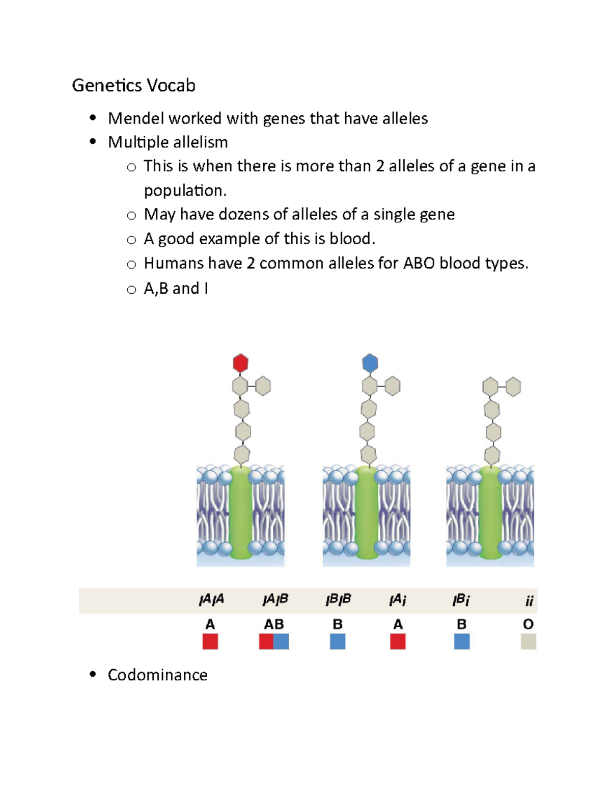 Genetics Vocab - Genetics Vocab Mendel worked with genes that have ...