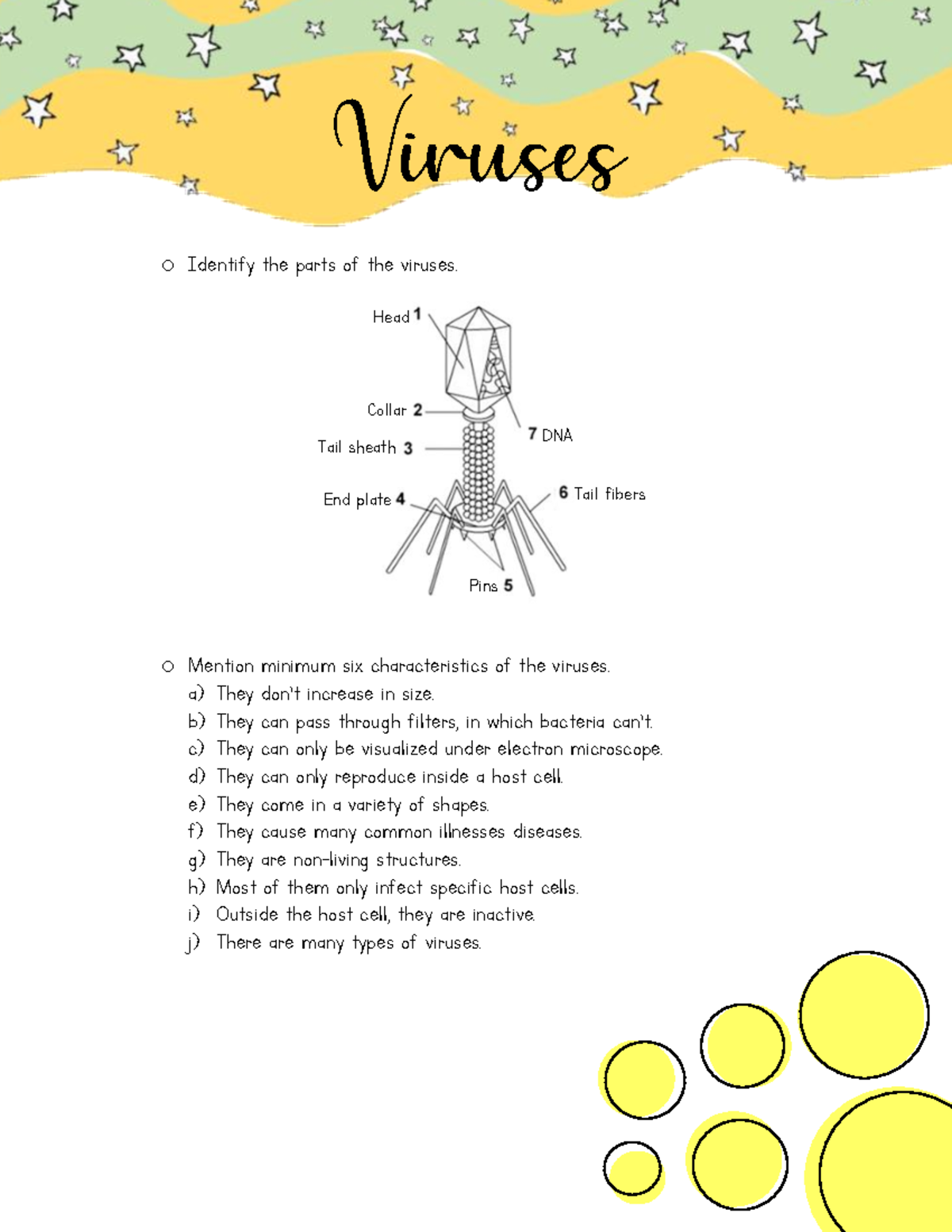 Exercise 15 life science - o Identify the parts of the viruses. o ...
