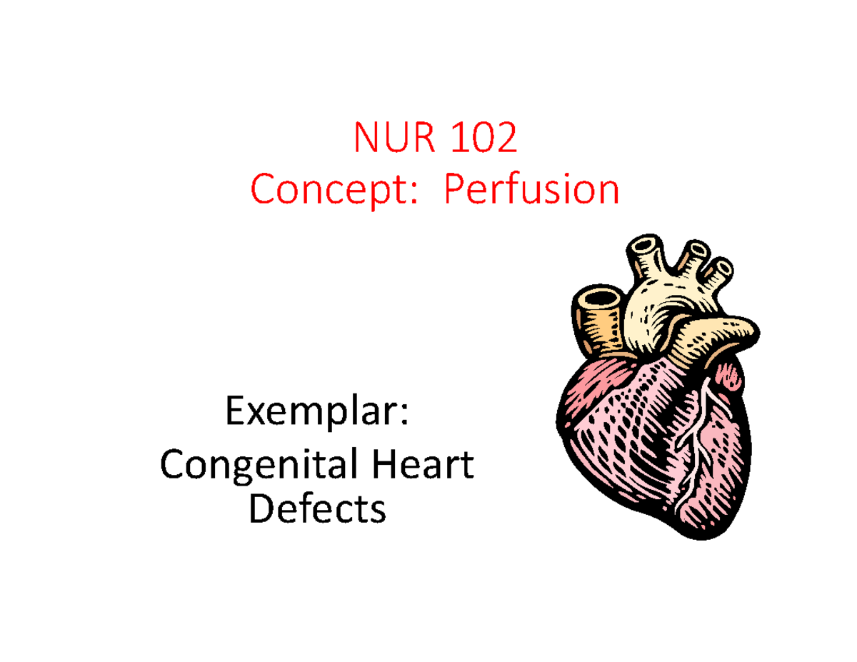CHD PPT - Julie Lohse NUR 102 - NUR 102 Concept: Perfusion Exemplar ...