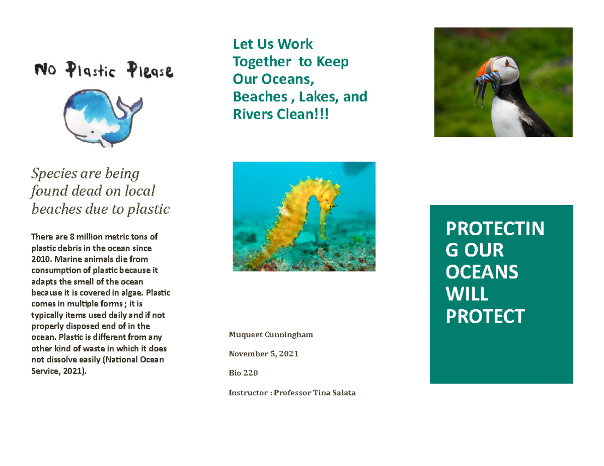 Restoration brochure / recycling and clean up - Species are being found ...