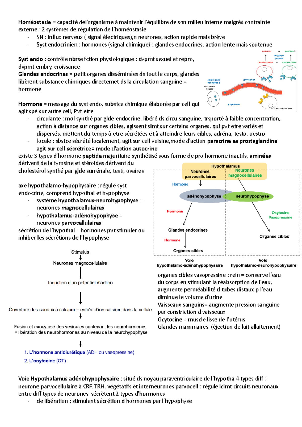 Fiche CM Fathia - Homéostasie = capacité del’organisme à maintenir l ...