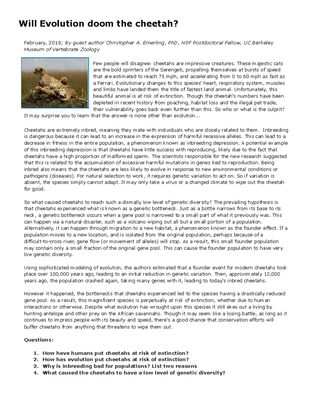Case Study Cheetah Populations - Will Evolution doom the cheetah ...