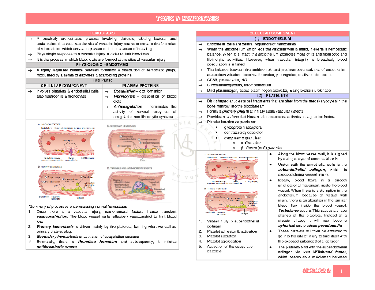 7- Hemostasis - good luck - HEMOSTASIS A precisely orchestrated process ...
