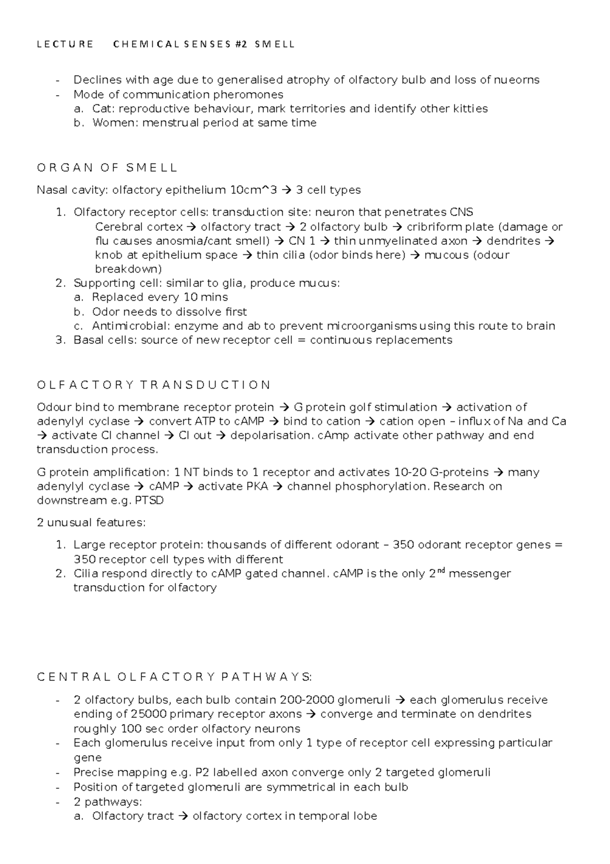 Chemical senses 2 smell - LECTURE C H E M I C A L S E N S E S S M E L L ...
