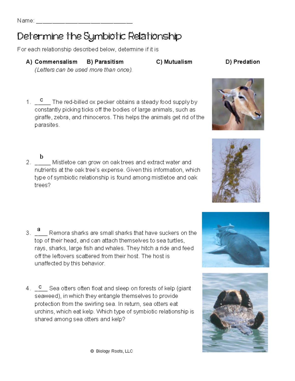 Kami Export - Holly Green - Determine the Symbiotic Relationship ...