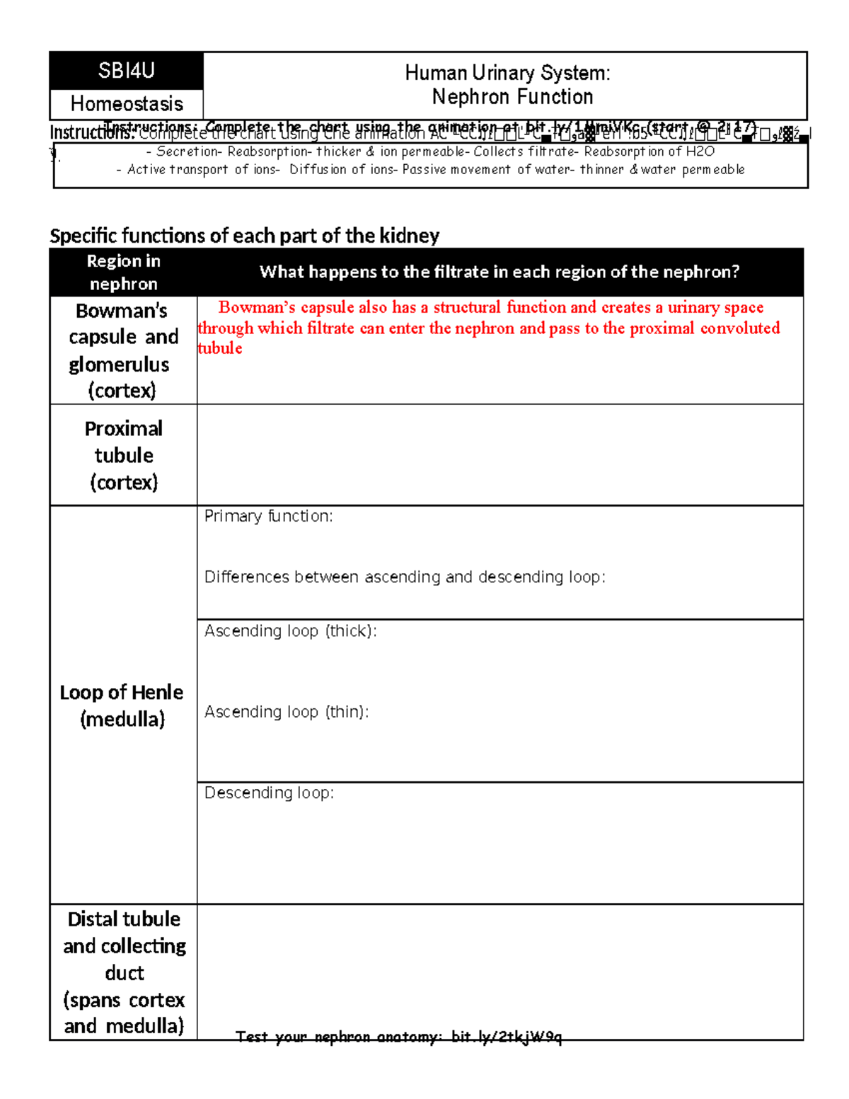 Nephron worksheets-converted - ####### Instructions: Complete the chart ...