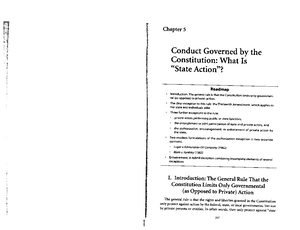 Handout State Action - THE APPLICATION OF THE BILL OF RIGHTS AND THE ...