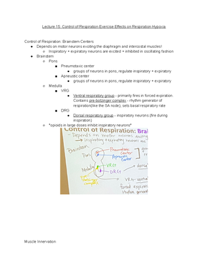 Lecture 17: Intro to Renal System, Filtration, Transport Maximum ...