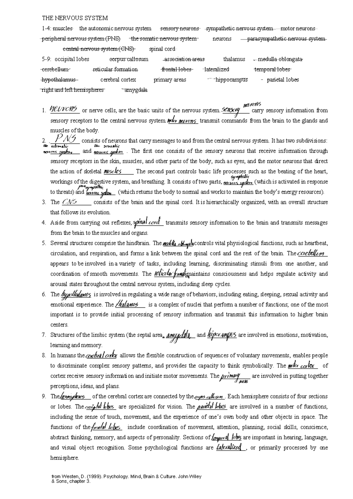 The brain - Introduction to psychology, cwiczenia do wypelnienia - THE ...