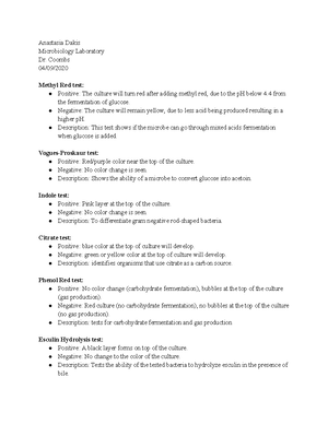 Microbio Unknown Report - Unknown Laboratory Report - Serratia ...
