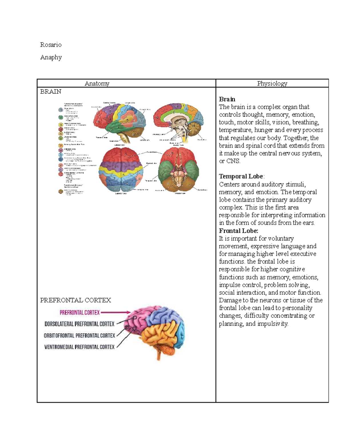 Schizophrenia organ ivolved - Rosario Anaphy Anatomy Physiology BRAIN ...