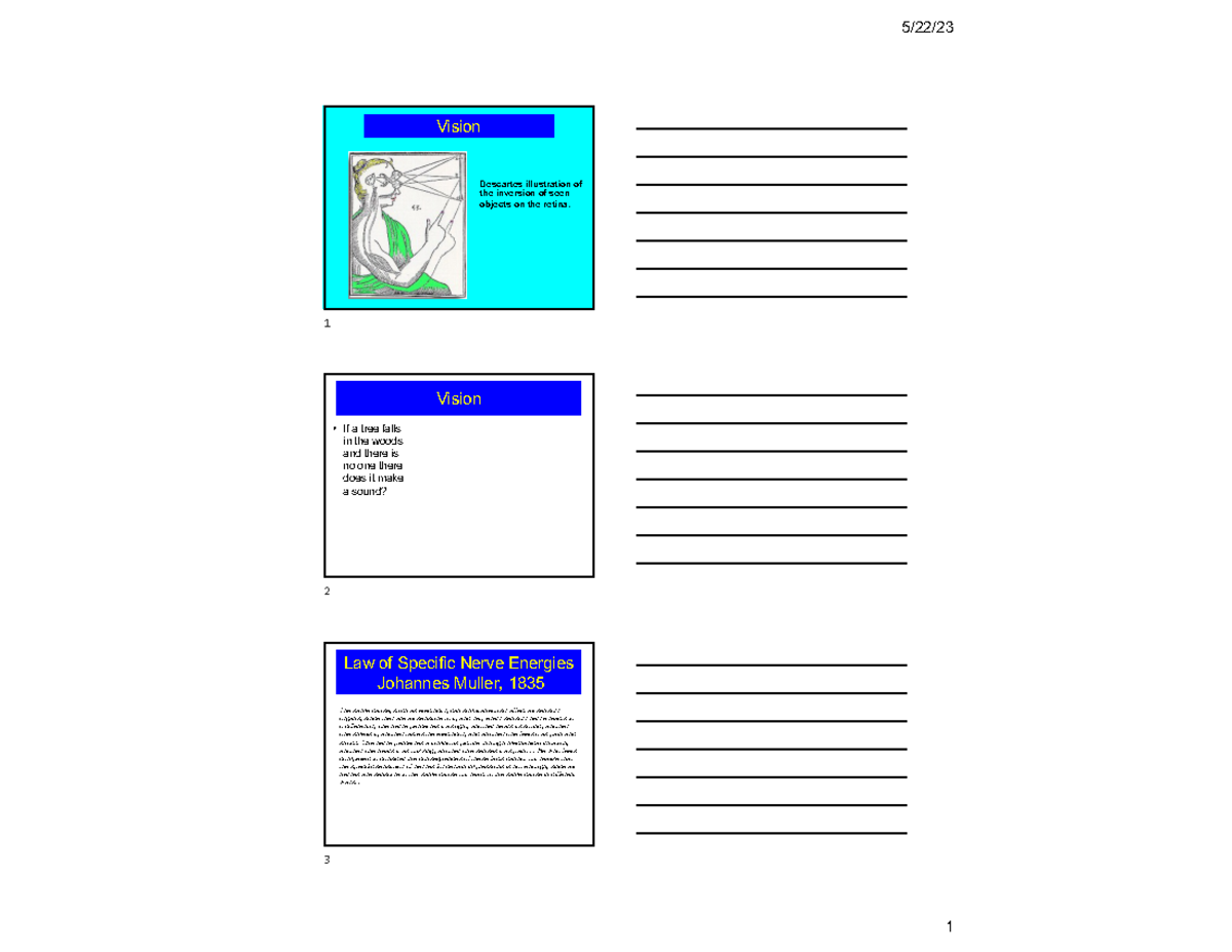 3120 Vision PP df - Compatibility Mode - Descartes illustration of the ...