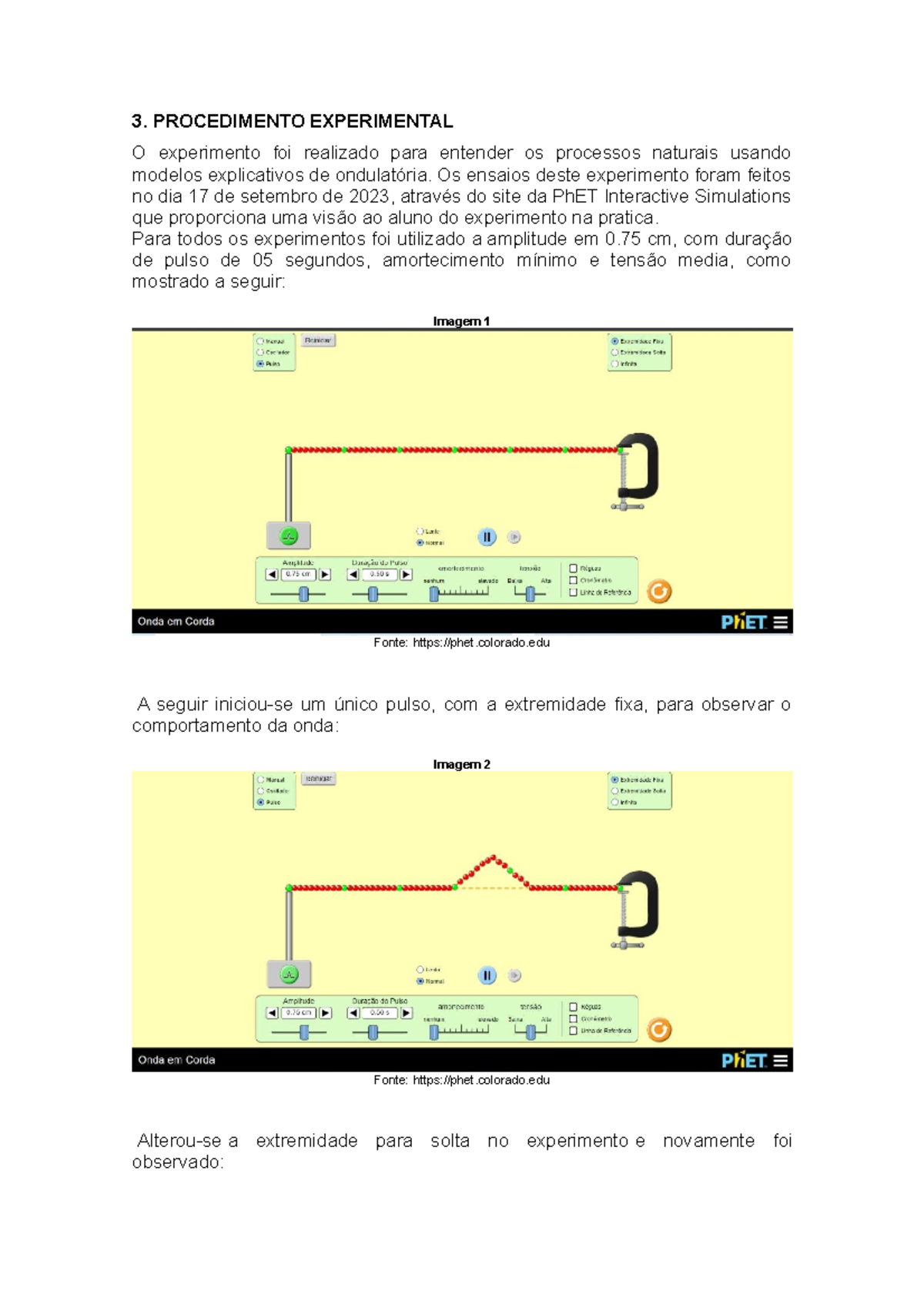 F2 madu - Experimento com ondas - 3. PROCEDIMENTO EXPERIMENTAL O ...