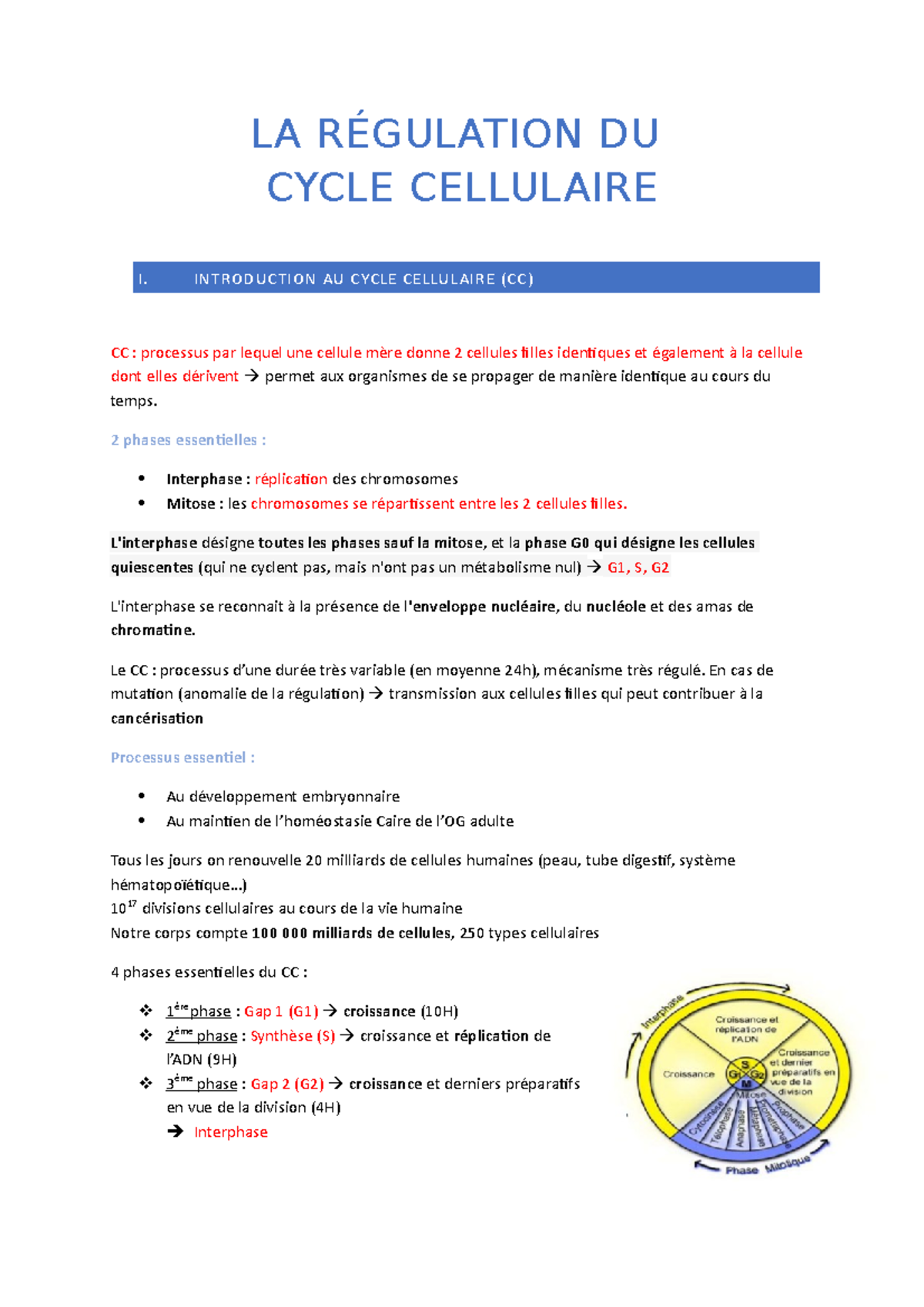 chapitre Cycle cellulaire année 2020 2021 - LA RÉGULATION DU CYCLE ...