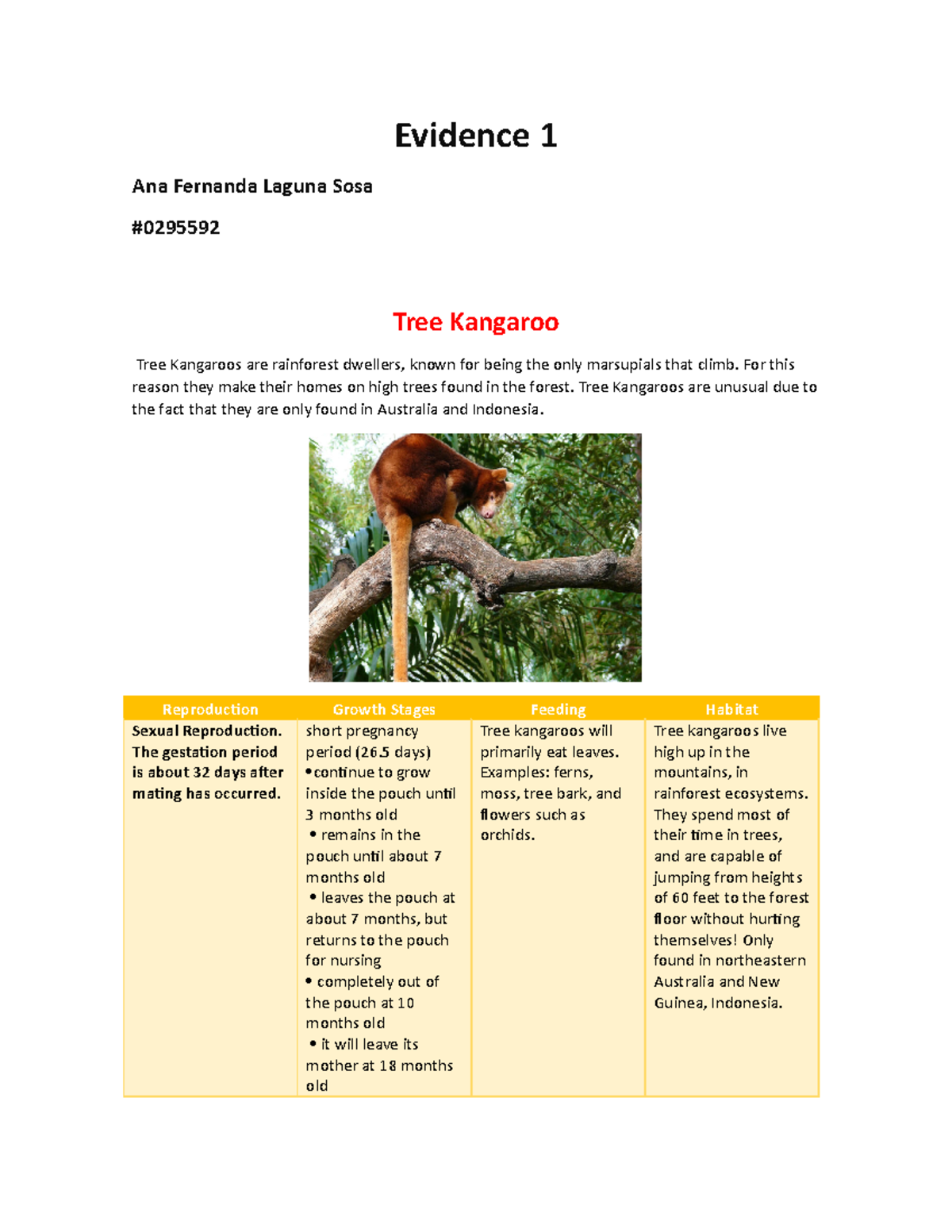 Evidence 1 life science - Evidence 1 Ana Fernanda Laguna Sosa Tree ...