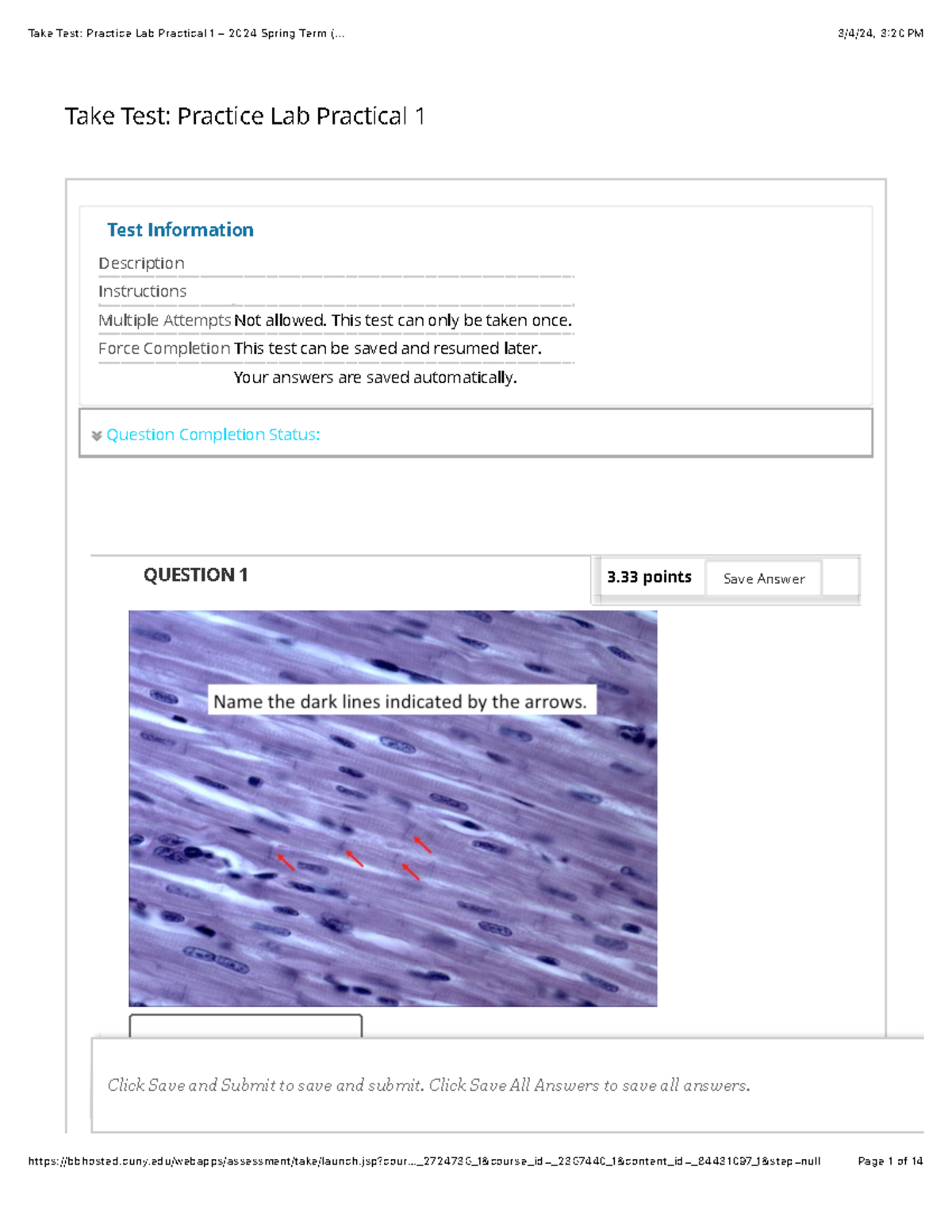 Take Test: Practice Lab Practical 1 – 2024 Spring Term ( - Take Test ...