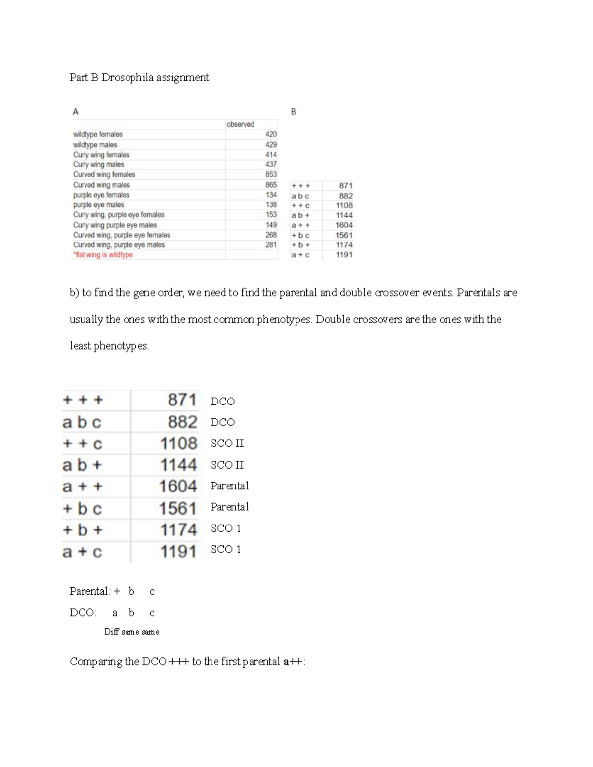 Part B Drosophila assignment - BIOL 3500 - Parentals are usually the ...