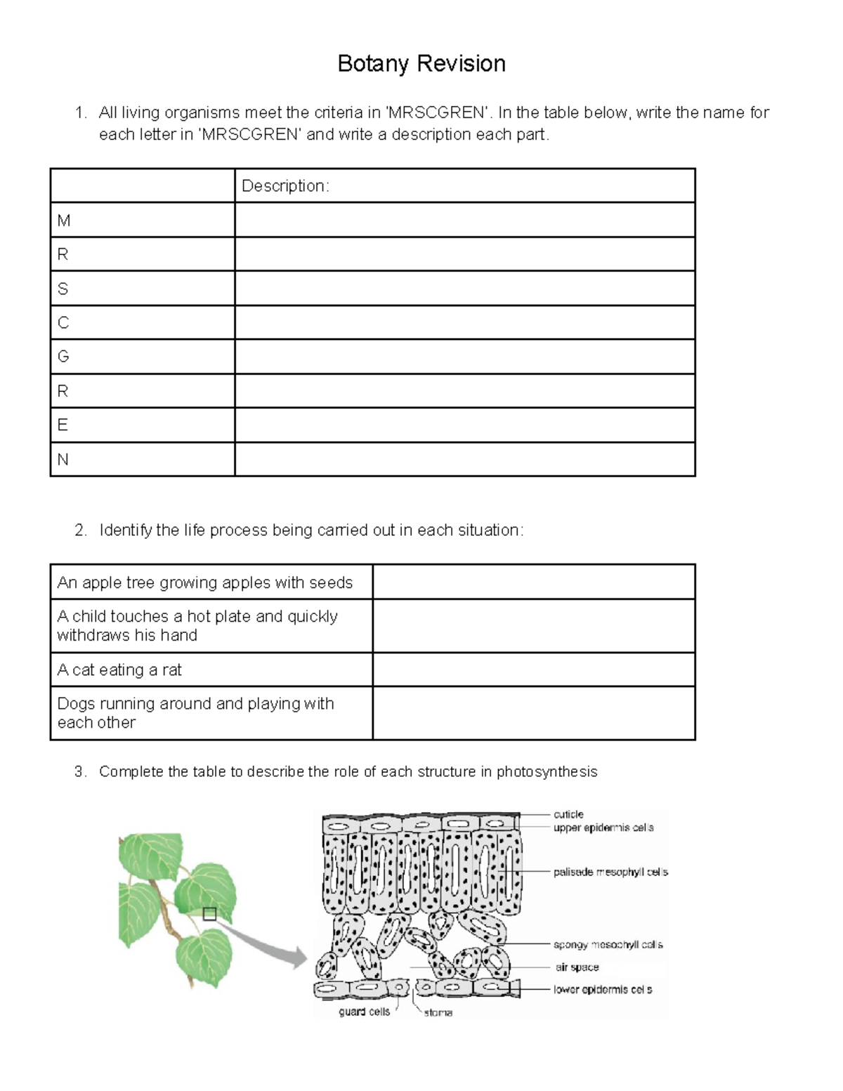 Revision worksheet - Botany Revision 1. All living organisms meet the ...