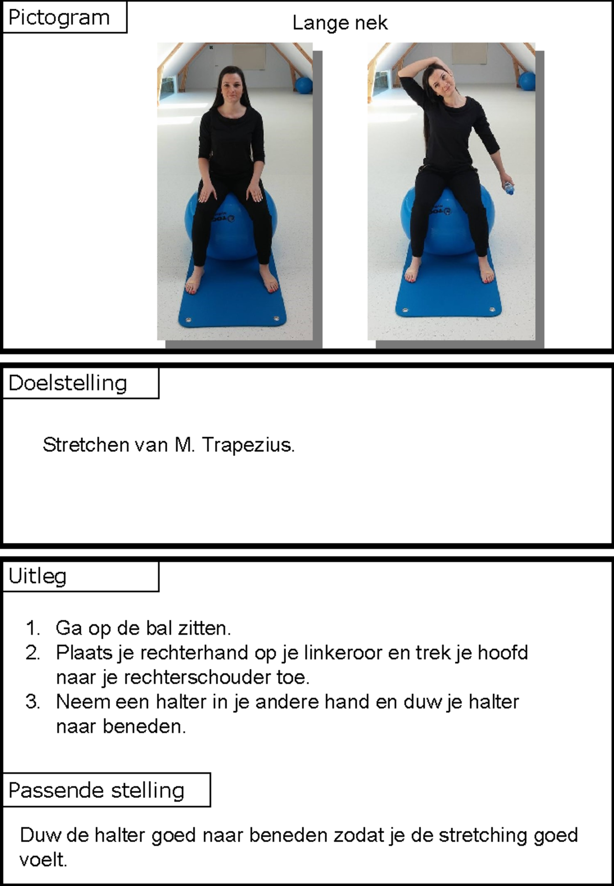 Oefeningen gymball met halters af - Passende stelling Uitleg ...