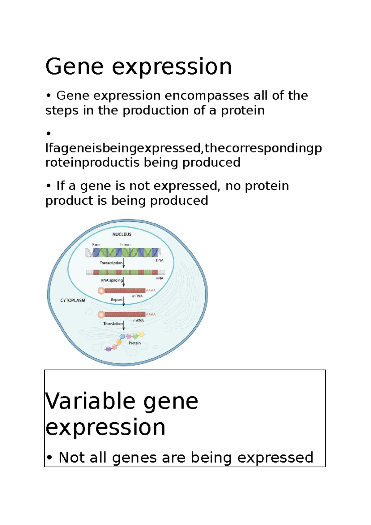 Lecture 4 Gene expression - Gene expression • Gene expression ...